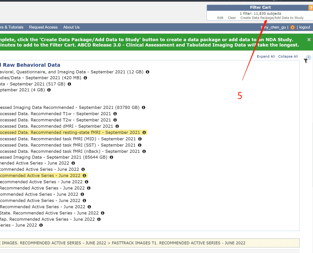 fMRI Brain Network Construction